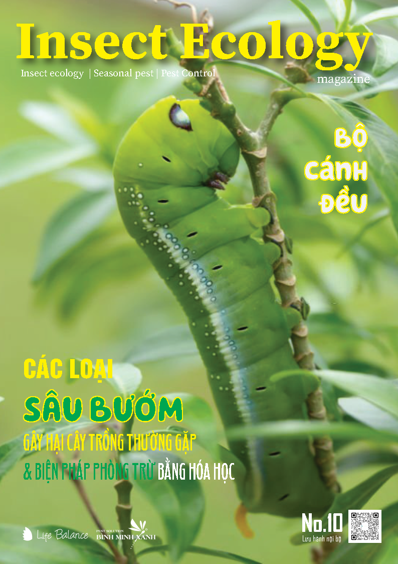 TẠP CHÍ INSECT ECOLOGY | No.10 | Các loại sâu bướm gây hại cây trồng ...